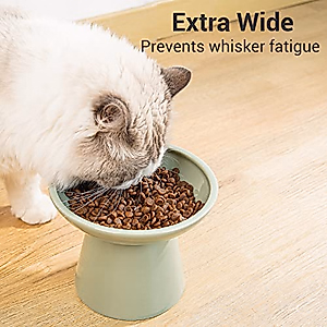 CEEFU Extra Wide Elevated Cat Bowls - Ceramic Cat Food Bowl 6.2" Raised Cat Food Bowls Elevated Shallow Cat Food Dish, Whisker Fatigue, Lead & Cadmium Free, 5" Good Height for Cat Feeding, Green
