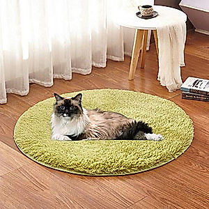 plplaaoo Electric Blanket, Electric Blanket, Hand Warmer, Plush Four Seasons USB Charging Interface Pet Heated Blanket Heating Mat Mat for Small Dogs Cats(gr¨¹n)