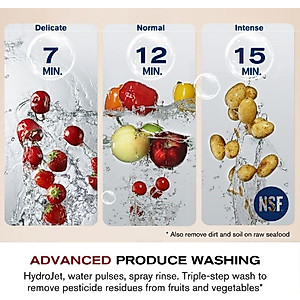 FOTILE SD2F-P5L 3-in-1 In-Sink Dishwasher & Kitchen Sink Combo with 360° Cleaning, Produce Wash, Child Lock, Energy Efficient for Space-Saving Hygienic Kitchen Solutions (Dishwasher on the Left)