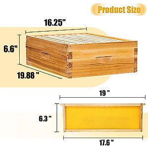 Honey Lake 10 Frame Bee Hive Starter Kit, Complete Beehive Kit for Beekeepers Dipped in 100% Beeswax Includes 1 Deep Brood Box & 1 Medium Super Bee Box with Beehive Frames and Waxed Foundation Sheet