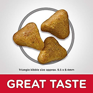 Hill's Science Diet Dry Cat Food, Adult, Urinary & Hairball Control, Chicken Recipe, 15.5 lb. Bag