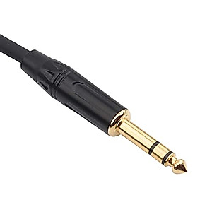 Disino 1/4 Inch TRS to XLR Male Balanced Signal Interconnect Cable Quarter inch to XLR Patch Cable - 3.3 Feet