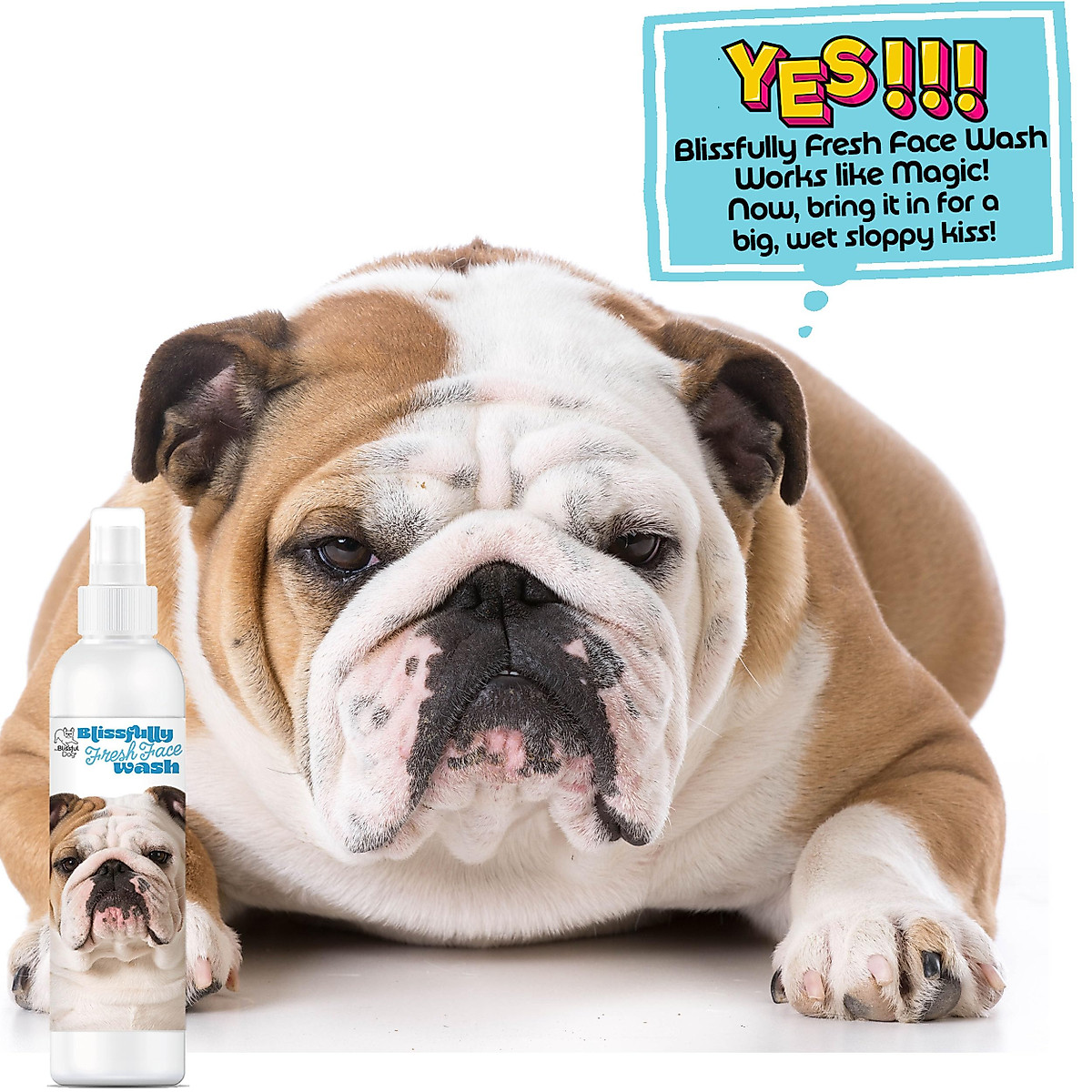 The Blissful Dog Blissfully Fresh Face Wash - Cleans Facial Folds and Wrinkles, 4-Ounce, Bulldog