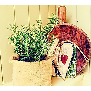 Jute Gardens 5 Pack of I Gallon Biodegradable Grow Pot Nursery Pots - Growing Plants - Plastic Free - Flowers Vegetable Planter - Potting Bags - Jute Fabric - Planting - Smart Design Pots