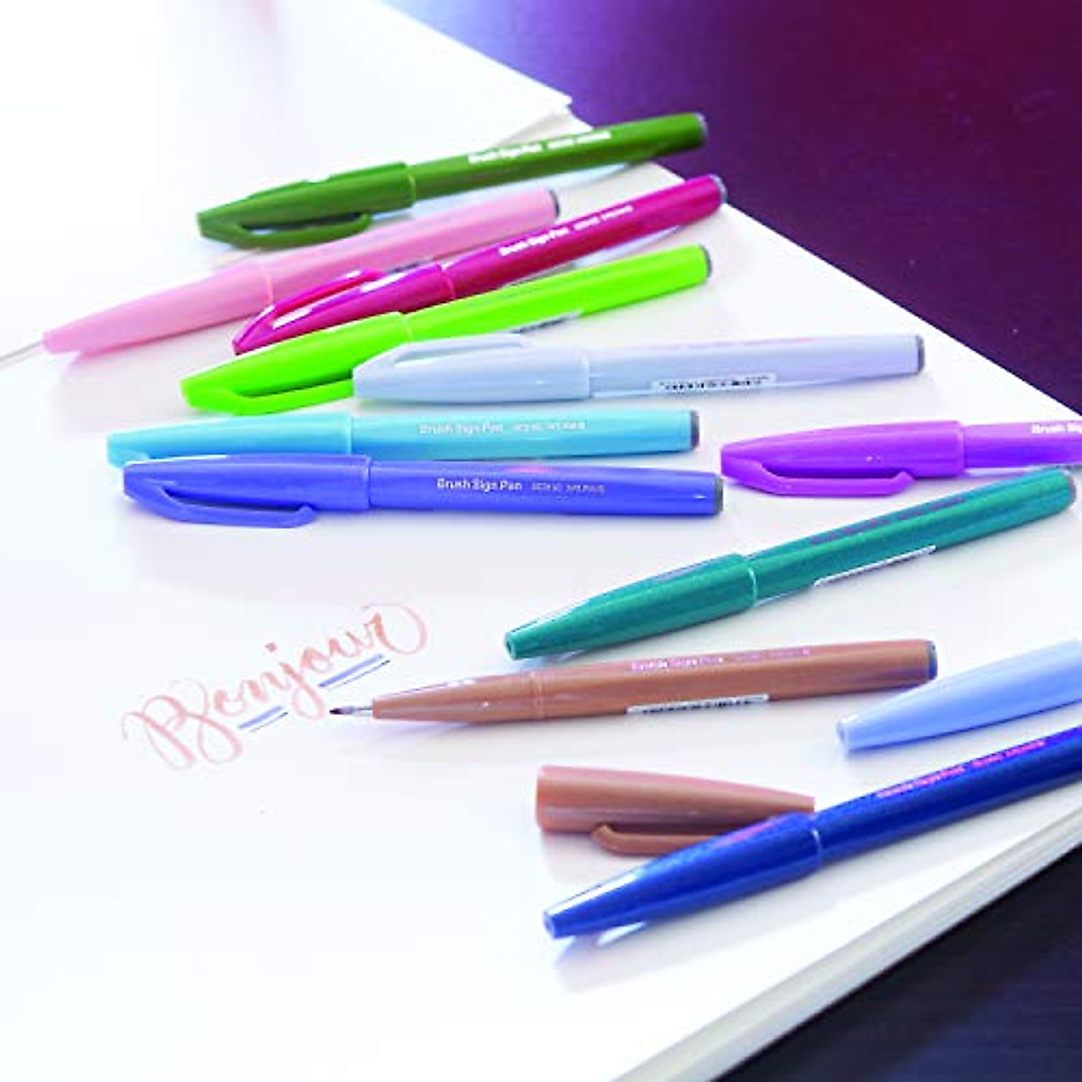 Pentel Arts Sign Pen Brush Tip, Assorted Colors, 12 Pack Box (SES15C2PC12)