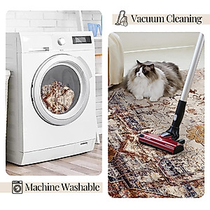 meejou 5x7 Area Rugs 5x7 Rug Non Slip Machine Washable Rugs Low-Pile Floor Carpet No Shedding Area Rugs for Living Room Bedroom Dining Room Kitchen Nursery Indoor