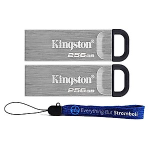 Kingston 256GB USB Flash Drive Kyson DataTraveler (Bulk 2 Pack) USB 3.2 Type-A Drive 200MB/s High Speed PenDrive for Computer or Laptop (DTKN/256GB) Bundle with (1) Everything But Stromboli Lanyard