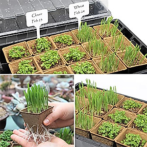 Seed Starter Kit with 100 Peat Pots for Seedlings Seed Starter Tray, Including 100 Square Biodegradable Seed Starter Pods, 5 Plastic Growing Trays & 20 Plant Labels