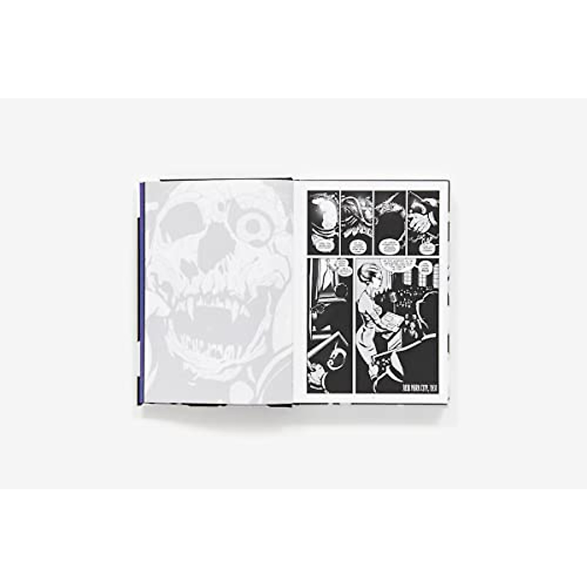 Silver: Of Treasures and Thieves (Silver Book #1): (A Graphic Novel)