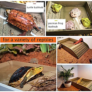 3pcs Tortoise Food Dish with Ramp and Basking Platform Leaf Tortoise Water Food Bowls Reptile Water Dish Turtle Reptile Pool for Amphibians Gray