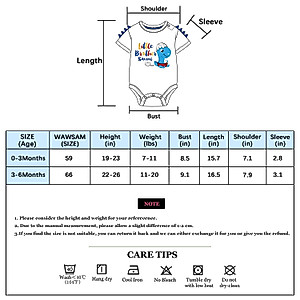 Little Brother Saurus Bodysuit Baby Boys’ Dinosaur Newborn Romper Gift (White, 3-6 Months)