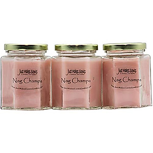 Nag Champa Scented Blended Soy Candle | Soothing Nag Champa Fragrance | Hand Poured in The USA by Just Makes Scents