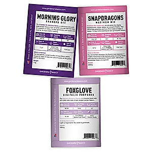 Hummingbird Seeds for Planting Outdoors Flower Seeds (5 Variety Pack) Zinnia, Foxglove, Lupine, Morning Glory, Snapdragons Varieties for Bees, Pollinators Wildflower Seed by Gardeners Basics