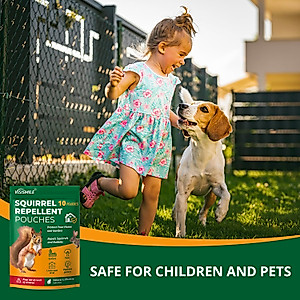 Squirrel Rabbit Repellent Outdoor Garden: Squirrel Deterrent for Plants - Chipmunk and Rabbit Repellent for Backyard - Keep Squirrels Away from Attic