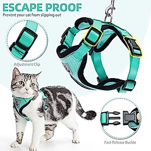 PUPTECK Cat Harness and Leash Set- Adjustable Vest Escape Proof Harness for Kitten Small Medium Cats, Retractable Breathable Soft Mesh for Outside with Reflective Strips