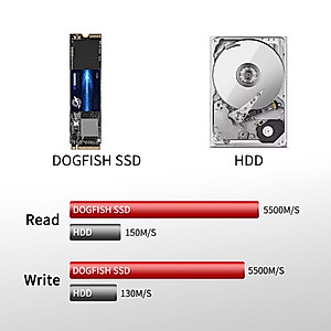 Dogfish 2TB SSD PCIe Gen 4.0 NVMe M.2 2280 3D NAND Internal Solid State Drive, Gaming SSD,R/W Speed up to 5500MB/s and 5000MB/s(M.2 2280 PCIe 2TB)
