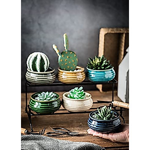 Succulent Plant Pots Stand 6pcs Indoor Plants Live 2 Tier Decorative Ceramic Small Plant Pots with Stand Holder Mini Flower Pots Gifts for Plant Lovers Home Office Desk Garden Mini Cactus Pot