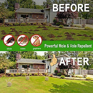 Whemoalus Mole Repellent Balls for Outdoor,Rodent Repeller for Outdoor,Vole Repellent Gopher Repellent Balls, Mothballs for Rodents Outdoor,Keep Moles and Voles Out of Your Lawn and Garden 8 Balls/Bag
