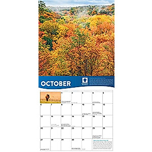 2024 National Park Foundation Wall Calendar: 12-Month Nature Calendar & Photography Collection (Monthly Calendar)