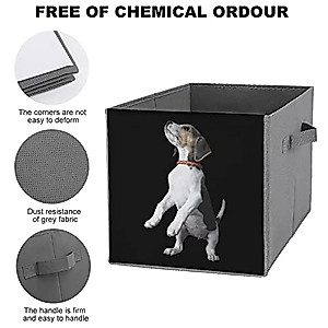 Beagle Collapsible Storage Bins Basics Folding Fabric Storage Cubes Organizer Boxes with Handles