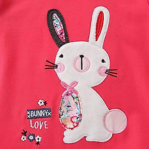 WRHPZW Toddler Baby Girls Long Sleeve Bunny Print Cotton Soft Pullover T-Shirt Tops Clothes size 6