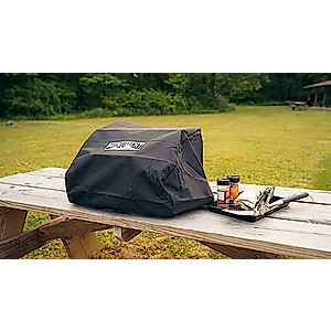 Portable Propane Gas Grill 2-Burner Tabletop Clearview Monument Grills with cover