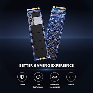 Pioneer 256GB NVMe SSD PCIe M.2 2280 Gen 3x4 TLC Internal High Speed Read/Write up to 3100/1000MB/s Solid State Drive, 300 TBW, PC Laptop Compatible (APS-SE20G-256)