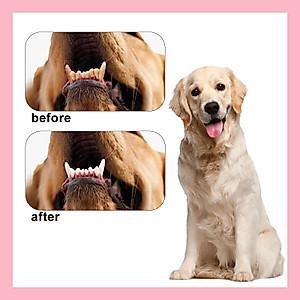 HDFCLUP 4 Pack Pet Dog Toothbrush, Extra Soft Dog & Cat Toothbrushes Dental Cleaning Brushes for Puppy Small Dog and Cat Dogs Teeth Dental Health Kit, White, Pink, Green, Gray