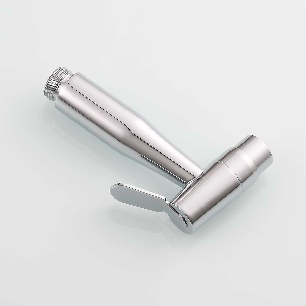 Tecmolog 2 Functions Bidet Toilet Sprayer Head Stainless Steel Bathroom Diaper Sprayer for Personal Hygiene, Chrome, WS024AD