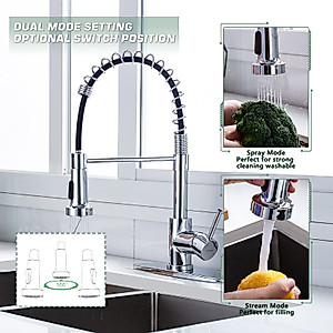 Chrome Kitchen Faucet, Faucet for Kitchen Sink with Pull Down Sprayer WEWE Kitchen Faucet with Deck Plate Stainless Steel Single Handle Spring for Farmhouse with Female 1/2 Adapters