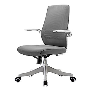 Ergonomic Office Chair Mid-Back Home Desk Chair with Lumbar Support Small Mesh Computer Chair
