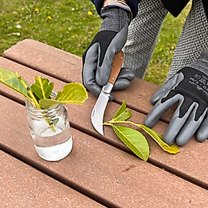 Spear & Jackson 7946KEW Kew Gardens Collection Folding Garden Knife