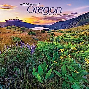 Oregon Wild & Scenic | 2023 12 x 24 Inch Monthly Square Wall Calendar | BrownTrout | USA United States of America Pacific West State Nature