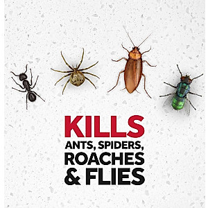 Raid Multi Insect Killer, Kills Ants, Spiders, Roaches and Flies, for Indoor and Outdoor use, 15 Oz (Pack of 4)