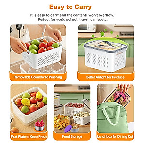 ATRONAW 12 Pieces Fruit Storage Containers for Fridge -Salad Dressing Containers To Go,Produce Storage Bins Set for Refrigerator for Salad Berry Lettuce Vegetables Meat