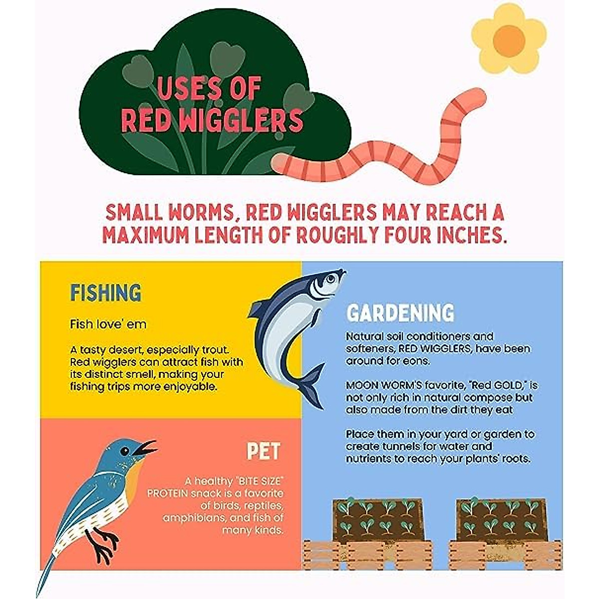 50+ Red Wigglers Composting Worms, Composting Bins