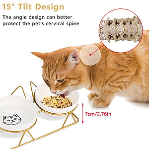 Wedding Pails Elevated Cat Bowls with 3 Ceramic Bowls,5 inches Food & Water Bowls 15° Tilted Raised Feeding Dishes with Metal Stand for Multiple Cats Dog Pet, Gold