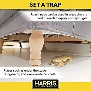 Harris Roach Glue Traps, Non Toxic (10-Pack)