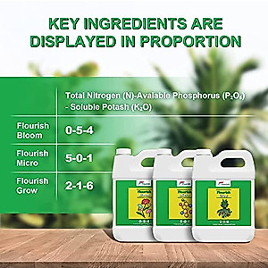 Bloom Grow Micro Liquid Nutrients - Flourish Hydroponic Garden Plant Fertilizer Series for Plants, Vegetables and Soil (Pack of 3-1 Liter Each) -Upgraded Version