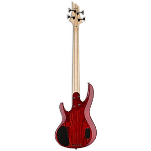 ESP LRB1004SMSTR-KIT-2 RB Series RB-1004SM STR 4-String Electric Bass, See Thru Red