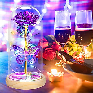 QUNPON Mothers Day Glass Rose Light Up Rose Gifts for Mom Women Birthday Gifts Colorful Rainbow Artificial Flower Rose Gift in A Glass Dome Valentines Mother's Day for Her Women