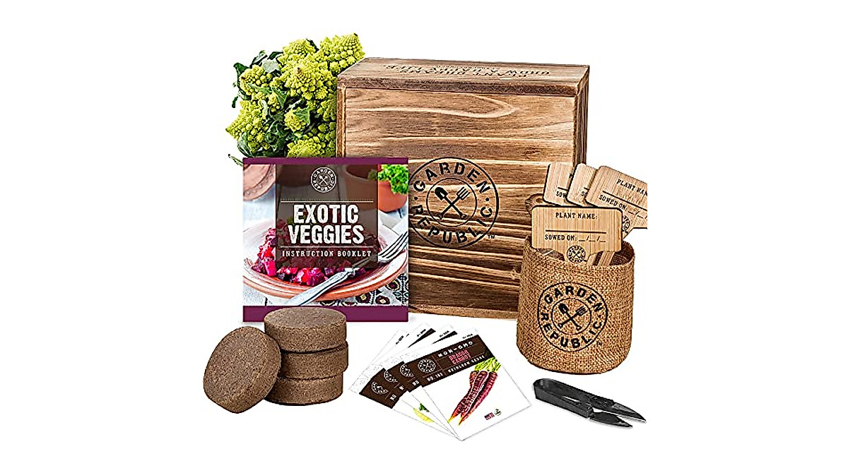 Indoor Vegetable Garden Starter Kit with Exotic Non-GMO Seeds