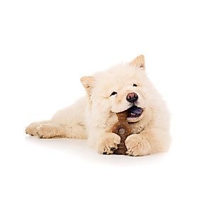 Nylabone Puppy Ring Bone Chew Toy - Puppy Chew Toys for Teething - Puppy Supplies - Chicken Flavor, Medium/Wolf (1 Count)