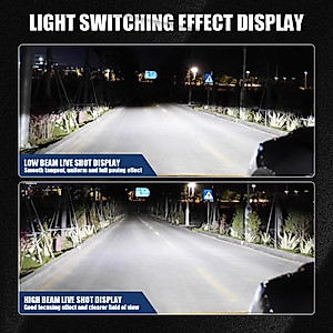 gunhunt 2 PCS Car H11-55W Halogen Bulb, 12V Quartz Lamp Ultra-bright Beam Low/High Beam Fog Light Replacement, All-in-one Plug and Play Bulb, Universal Lighting Accessories for Cars (White)