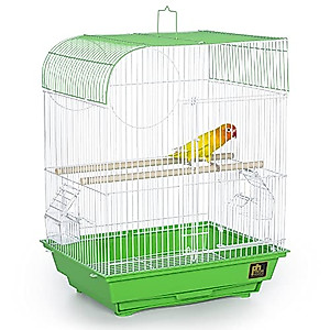 Prevue Pet Products South Beach Flat Top Bird Cage, Lime Green (SP50091),14 1/8" L x 11 1/4" W x 18 1/8" H