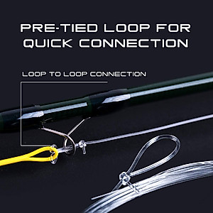 Maxcatch Fly Fishing Tapered Leader Line 6 Pack -Pre-tied Loop- Tensile Strength- Abrasion Resistance- Low Memory 7.5ft/9ft/12ft/15ft, 0X-6X (7.5ft 5X(6pcs))