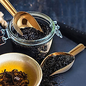 TeamFar Mini Scoop Set of 4, 3 Oz Small Canister Jar Scoops, Gold Candy Utility Scoops Stainless Steel for Scooping Coffee Bean/Sugar/Flour/Spice, Rust Free & Durable, Dishwasher Safe