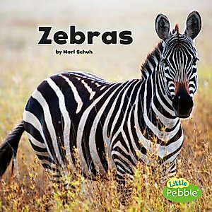 Zebras (Black and White Animals)