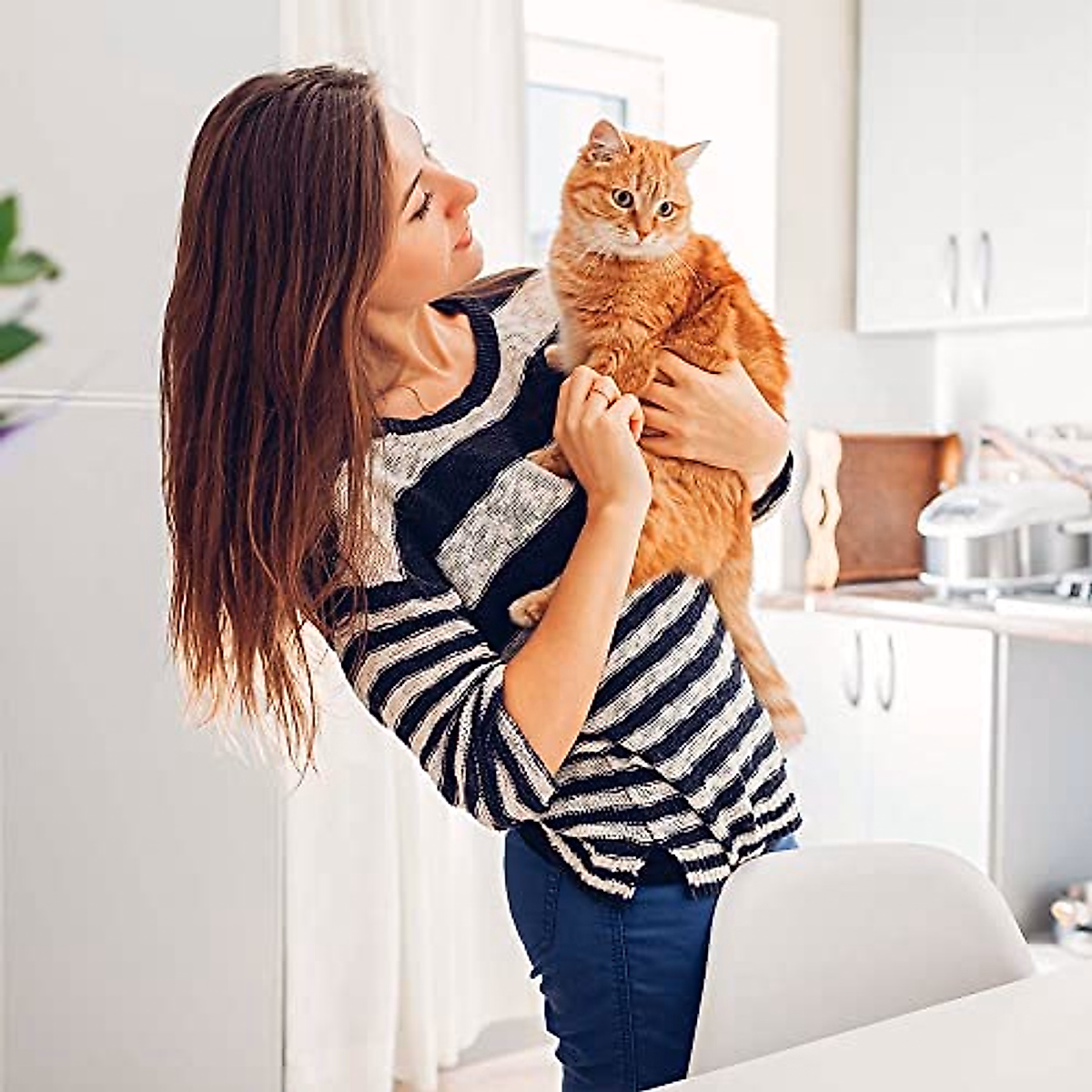 Fussie Cat Food Tuna Formula - in Goat Milk Gravy - 3 Flavor 6 Can Sampler Variety - (2) Each: Anchovies, Chicken, Salmon (2.47 Ounces) - Plus Catnip Toy and Fun Facts Booklet Bundle