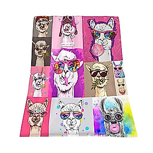 Llama Blanket Premium Velvet Lightweight Flannel Blanket Cute Soft Warm Throw Blanket Fluffy Cozy Fleece Blanket Llama Bed Blanket Suitable Available in All Seasons for Women Men Boys Girls(60"x80")